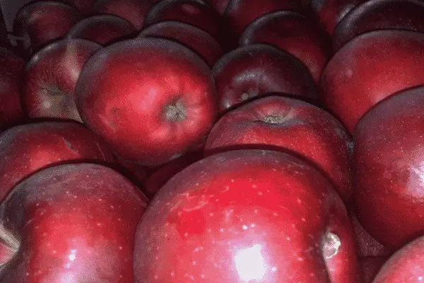 Vintage Apples
