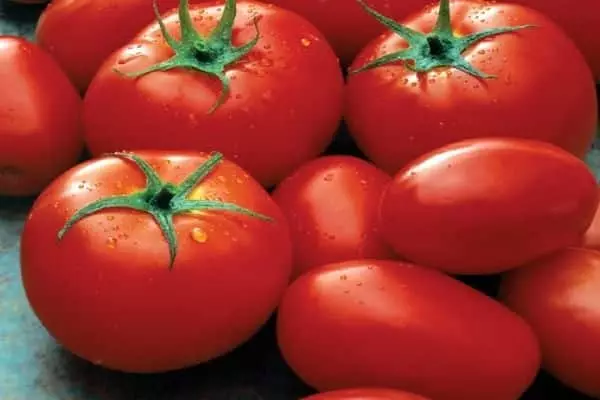 Tomato Persoreus