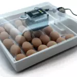 Incubation yicyiciro cyicyiciro: Ibipimo ngenderwaho murugo 6728_5