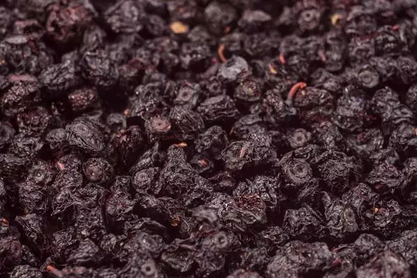 Neguko blueberries: 15 errezeta onenak zuriak eta biltegiratze arauak