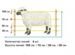 Skema perakitan electrofastuha untuk domba dengan tangan mereka sendiri dan cara menggunakannya