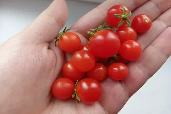 Tomato pigmere