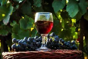 Najboljši recept za kuhanje vina iz divjega grozdja doma