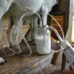 بکریوں کے لئے دودھ سازی کا سامان: قسمیں، پیشہ اور کنس اور اپنے آپ کو کیسے بنائیں 6857_8