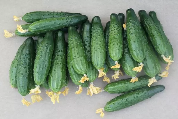 fresh cucumbers