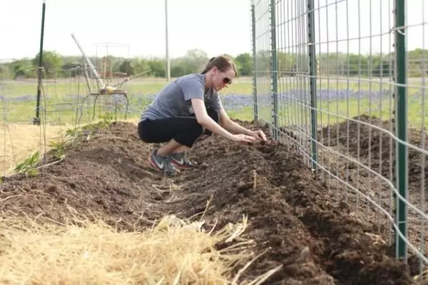 Plot cleaning.