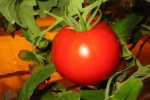 番茄品种的描述瓦西莉，其特点和栽培