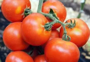 Priskribo kaj karakterizaĵoj de Tomato F1 Tomato