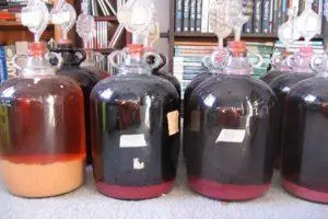 Temperatura para fermentação tranquila do vinho em casa, se os hidrolowlays precisam