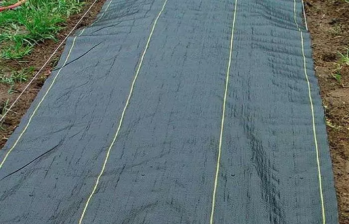 Geotextile Simales.