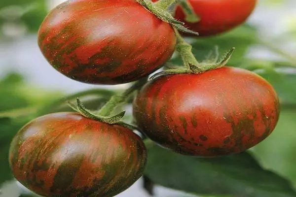 Pomidorai juostelės