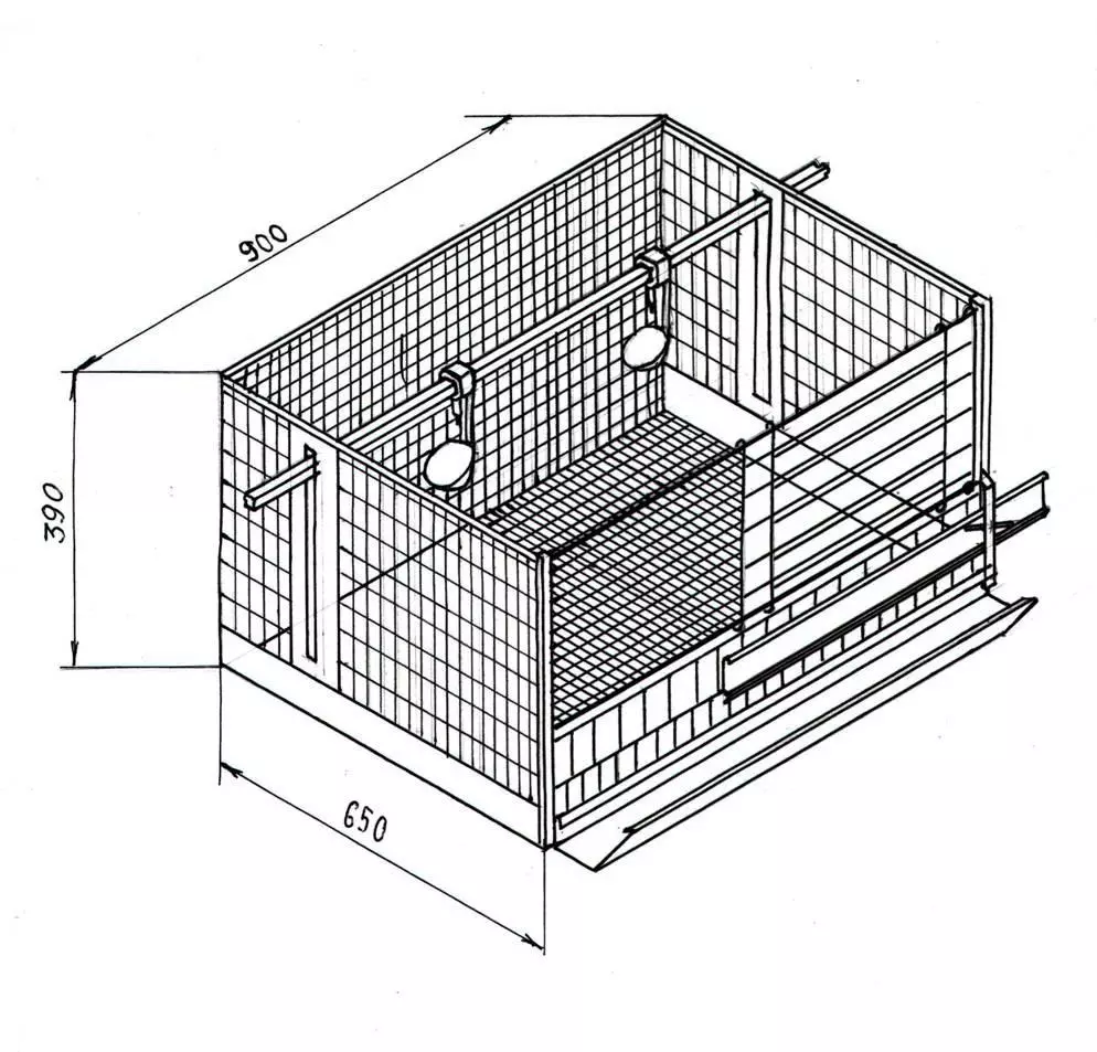 Dimensiunile și desenele celulelor pentru prepeliță, cum să faceți pasul pas cu pas