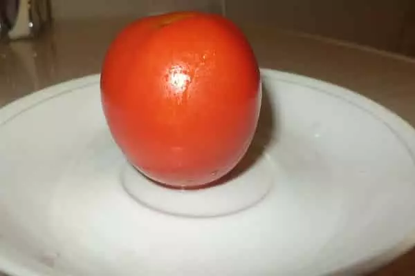 Tomato yang elegan.