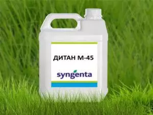 Mga tagubilin para sa paggamit ng Dithan M-45 at ang komposisyon ng fungicide, dosis at analogues