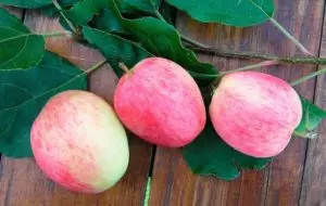 Опис і характеристики яблуні сорту Аркадік, її переваги і недоліки