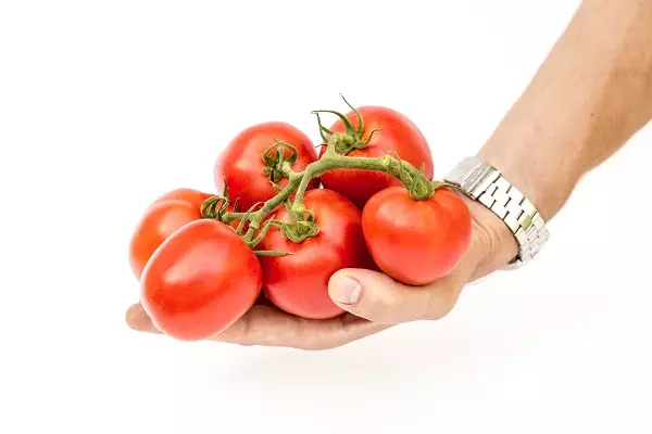 Arvostettu tomaatti