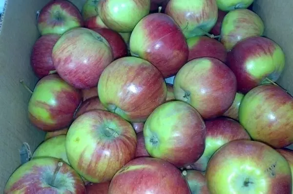 Apples na Rossoshan ya jaura a cikin akwati