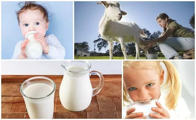 leche de cabra