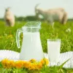Козе мляко: полза и вреда на тялото, състава и как да изберем 7261_3