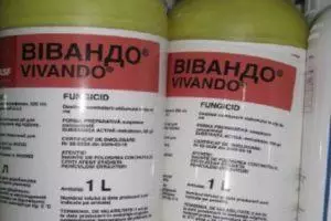 Mantar ilacı vivando kullanımı, tüketim hızı ve analoglar için talimatlar