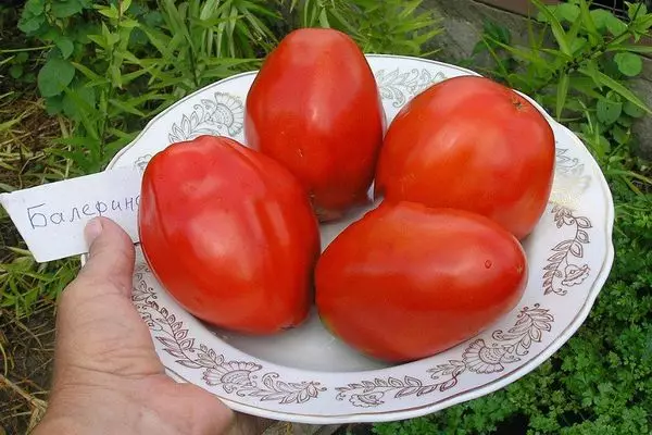 Pomidorai Balerina.