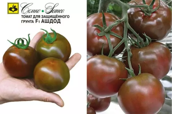 Tomaten hybride