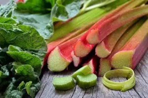 תכונות שימושיות של צמח Rhubarb ואת היישום שלה, אינדיקציות התוויות נגד