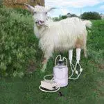 Апарат за молзење за кози со свои раце: инструкции дома 7352_9
