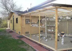 Видови на куќишта за гулаби и како да се направи куќа за птици со свои раце