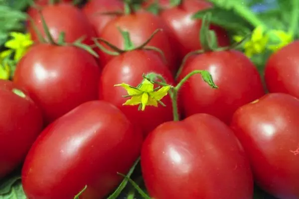 Zrele rajčice