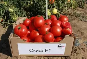 Litšobotsi le tlhaloso ea tomato Scythy