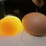 Зашто препуштени носе јаја без шкољке: Разлози и шта треба учинити, превенција 7396_8