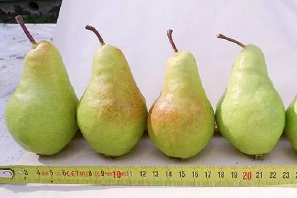 Frutas en tamaño
