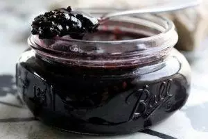 Ricetta semplice per il billet per l'inverno del ribes nero senza zucchero nel suo succo