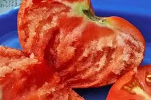 Característica y descripción de la variedad de tomate. Llamada eterna.