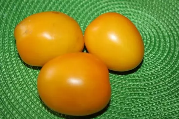 Tomat Siberia