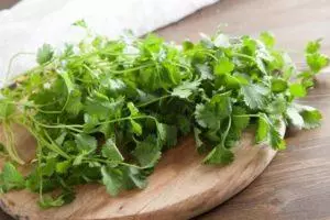 Cara nyiyapake cilantage kanggo mangsa ing omah, resep paling apik