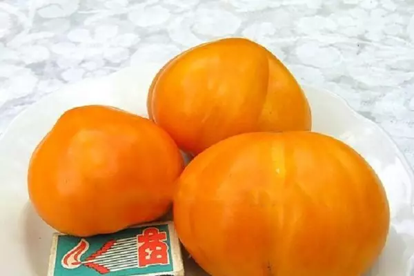 番茄klondike：彩色品种的描述和特征