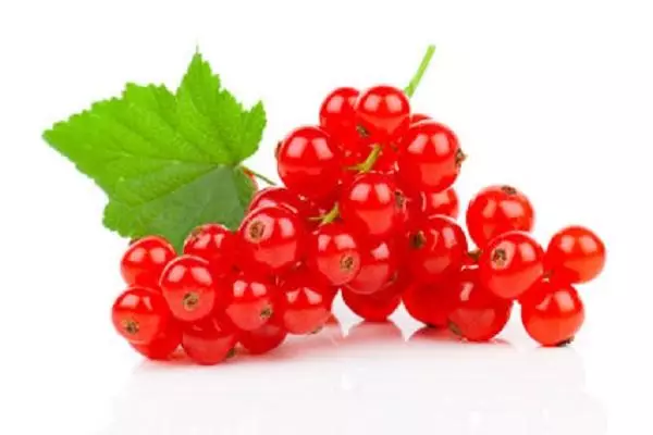 Berry currant