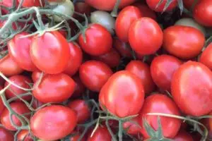 Descrición do tomate 6 PUNTO 7 e as súas características