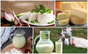 O que pode ser feito de leite de cabra fresco, top 7 receitas de cozimento