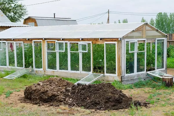 Szklarnia w ogrodzie warzywnym