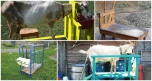 Rozměry a kresby strojů pro dojící kozy a jak to udělat sami