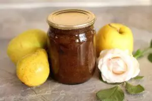 Topp 6 enkla recept för matlagning kom från äpplen med päron för vintern