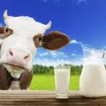 Watter melk is nuttiger as 'n koei of bok: die samestelling en tabel van verskille 7532_5