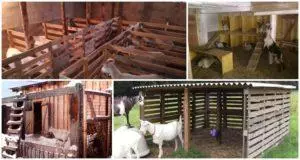 Velikosti in risbe skladišč za koze, kako narediti in opremiti svoje roke