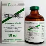 Oxytocin get: Instruktioner för användning och dosering när du ger analoger 7600_3