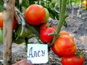 Kenmerkende en beschrijving van Tomato Alsu, zijn opbrengst