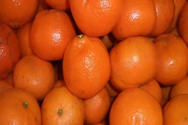 Daudzi apelsīni