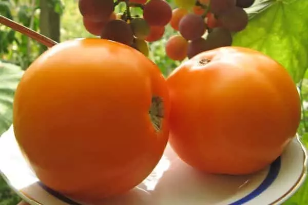 Sary pomidor